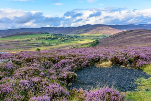 Carfrae Farm – Accommodation Rental in East Lothian and Edinburgh